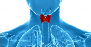 Interpretation of thyroid function test report - Creative Diagnostics
