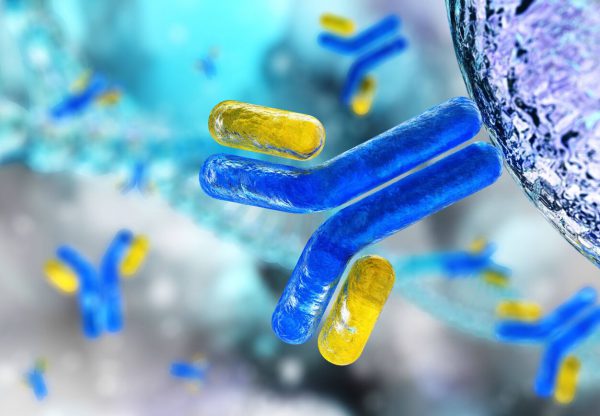How to Choose Antibody Preparation Technology - Creative Diagnostics