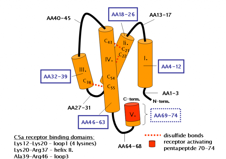 Introduction of Complement Component 5 Receptor - Creative Diagnostics