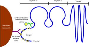 Can PIVKA-II be Used in Liver Cell Cancer Research? - Creative Diagnostics