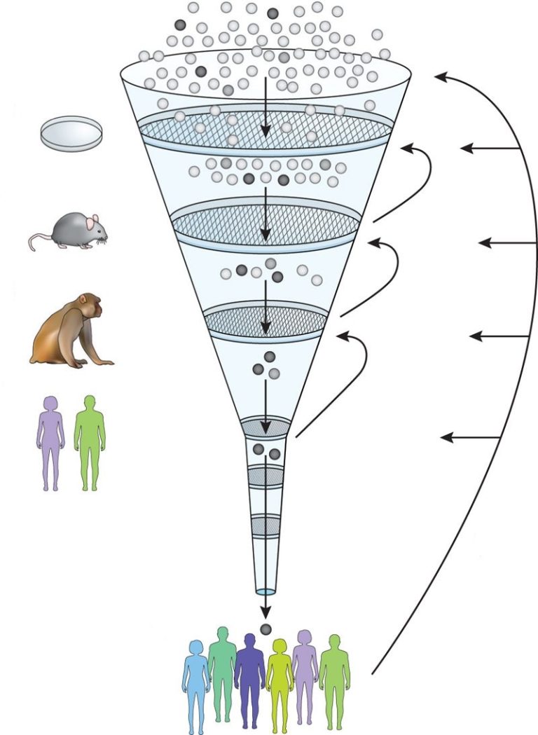 NHP Models in HIV Antiviral Drug Research – Creative Diagnostics