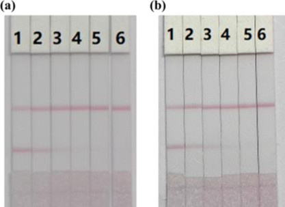 Azaperone Antibodies & Antigens - Creative Diagnostics
