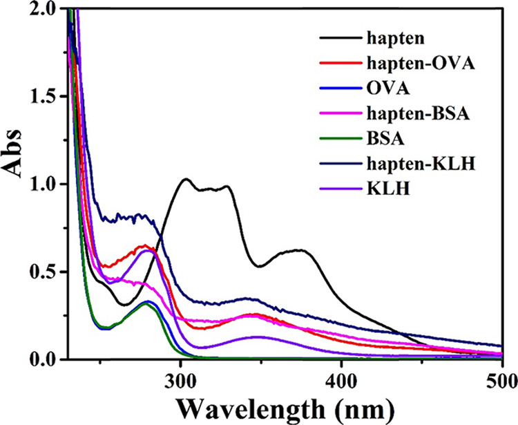 Carbadox Antibodies & Antigens - Creative Diagnostics
