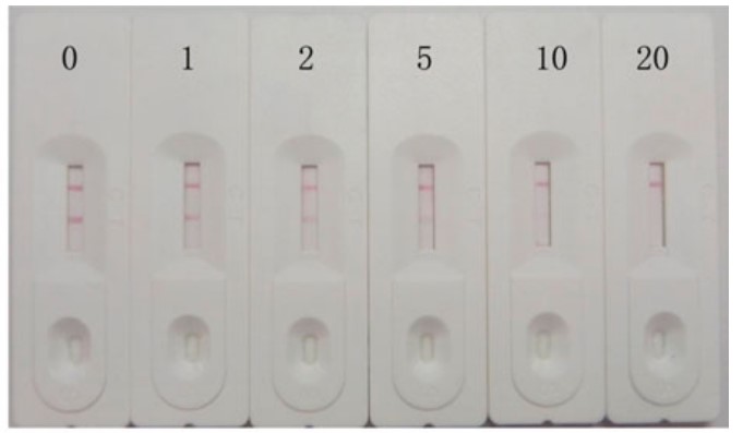 Cephalexin Antibodies & Antigens - Creative Diagnostics