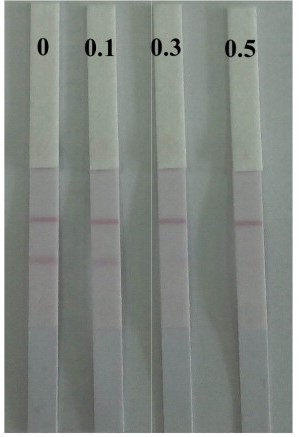 Chloramphenicol Antibodies & Antigens - Creative Diagnostics