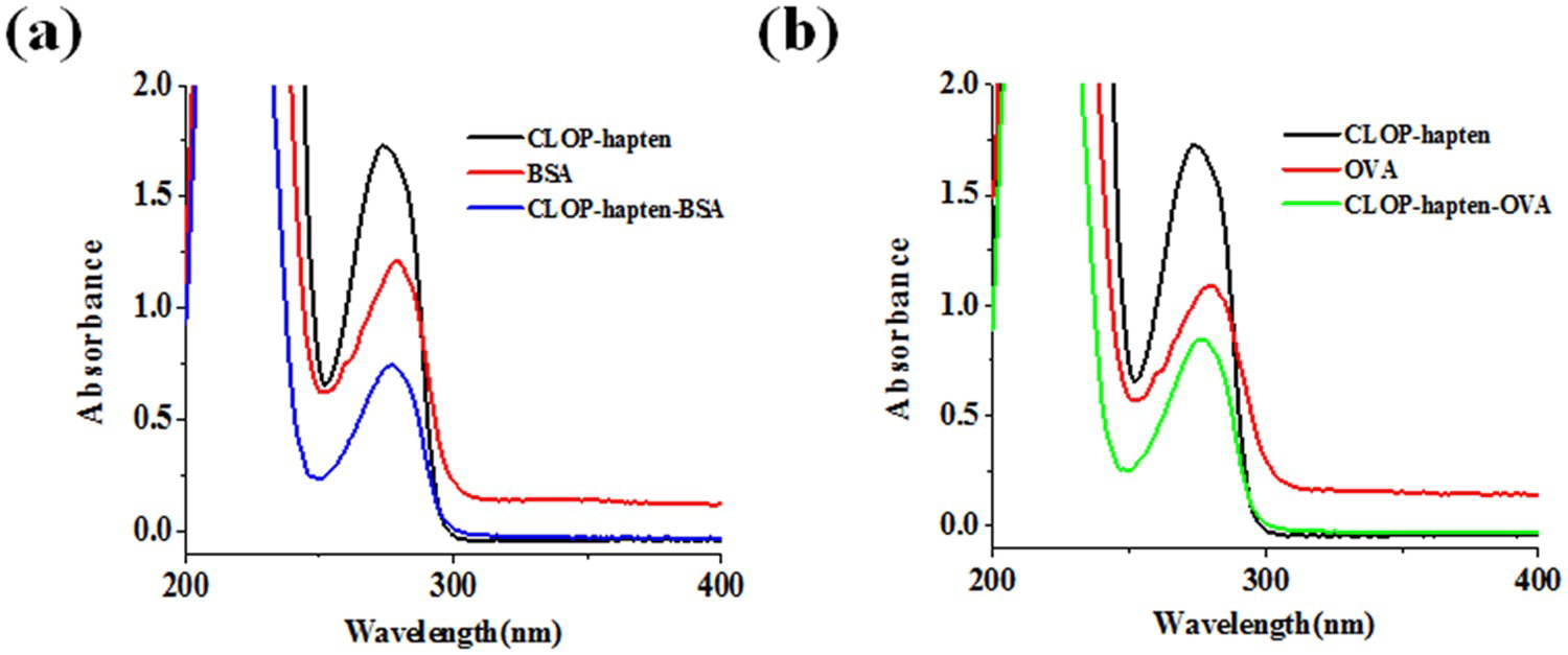 Clopidol Antibodies & Antigens - Creative Diagnostics