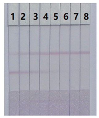 Clopidol Antibodies & Antigens - Creative Diagnostics