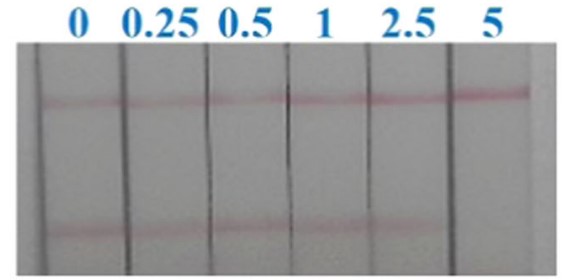 Cyclopiazonic acid Screen Test - Creative Diagnostics