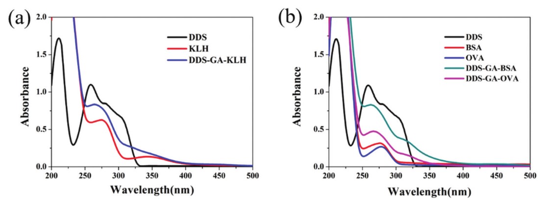 Dapsone Antibodies & Antigens - Creative Diagnostics