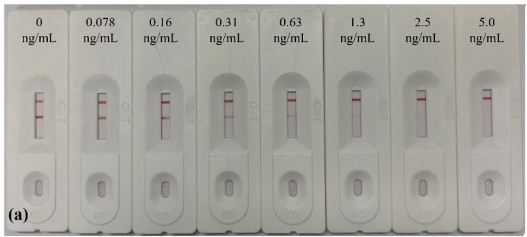 Enrofloxacin Antibodies & Antigens - Creative Diagnostics