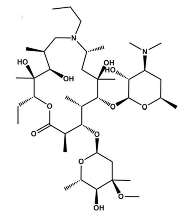 Gamithromycin Antibodies & Antigens - Creative Diagnostics