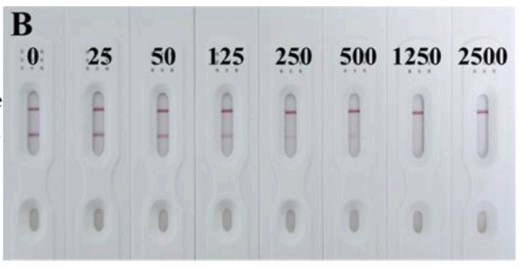Histamine Antibodies & Antigens - Creative Diagnostics