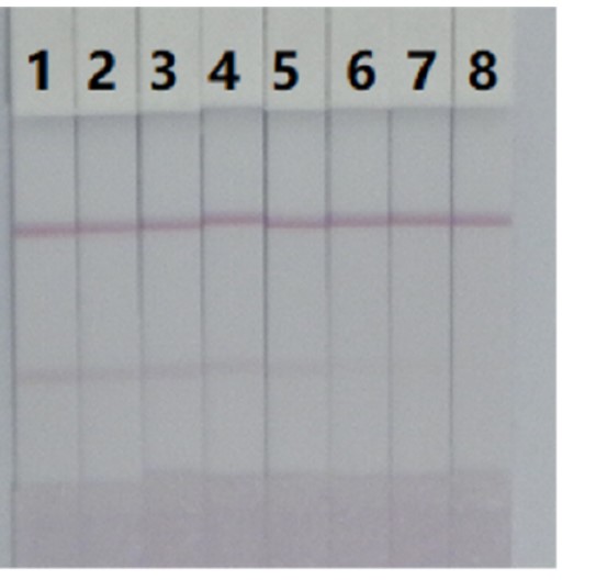 Imidocarb Antibodies & Antigens - Creative Diagnostics