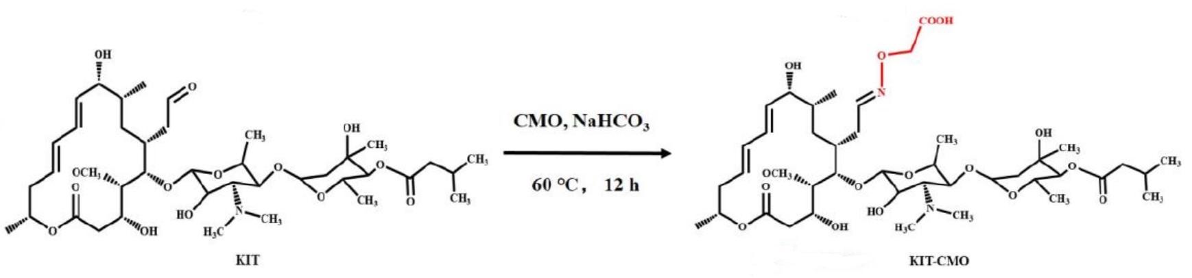 Kitasamycin Antibodies & Antigens - Creative Diagnostics