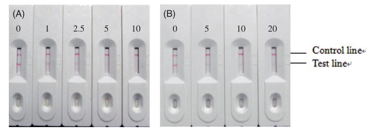 Lincomycin Antibodies & Antigens - Creative Diagnostics