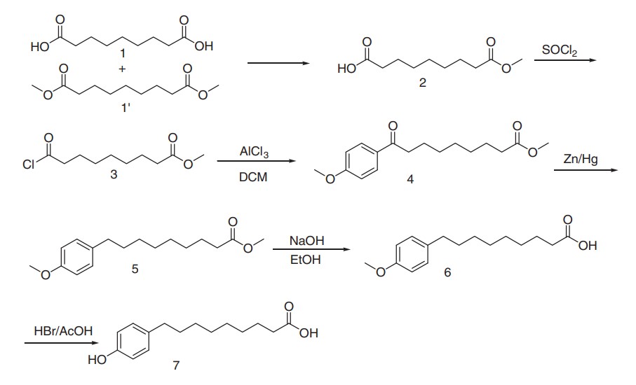 Octylphenol Antibodies & Antigens - Creative Diagnostics