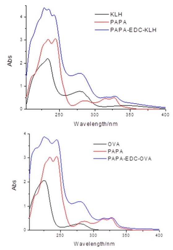 Papaverine Antibodies & Antigens - Creative Diagnostics
