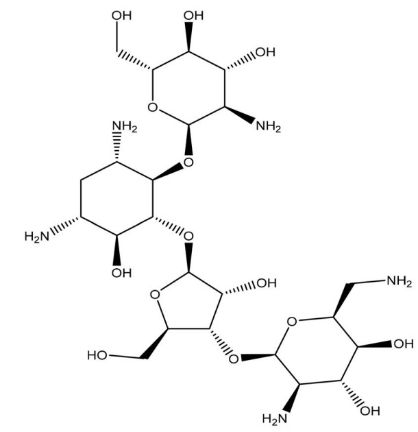 Paromomycin Antibodies & Antigens - Creative Diagnostics