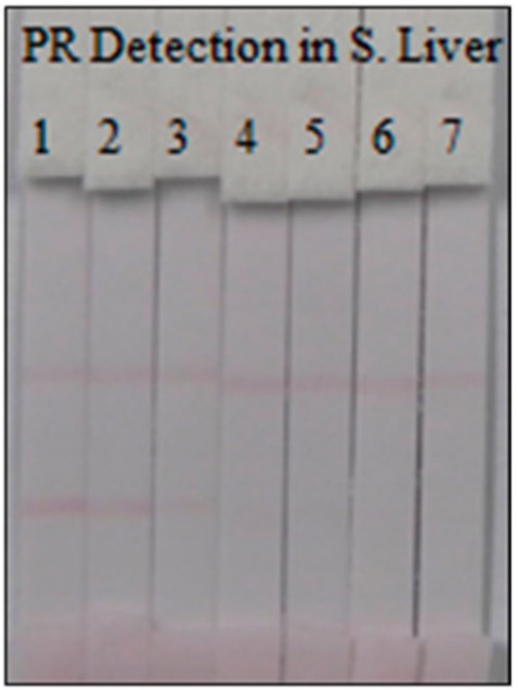 Paromomycin Screen Test - Creative Diagnostics