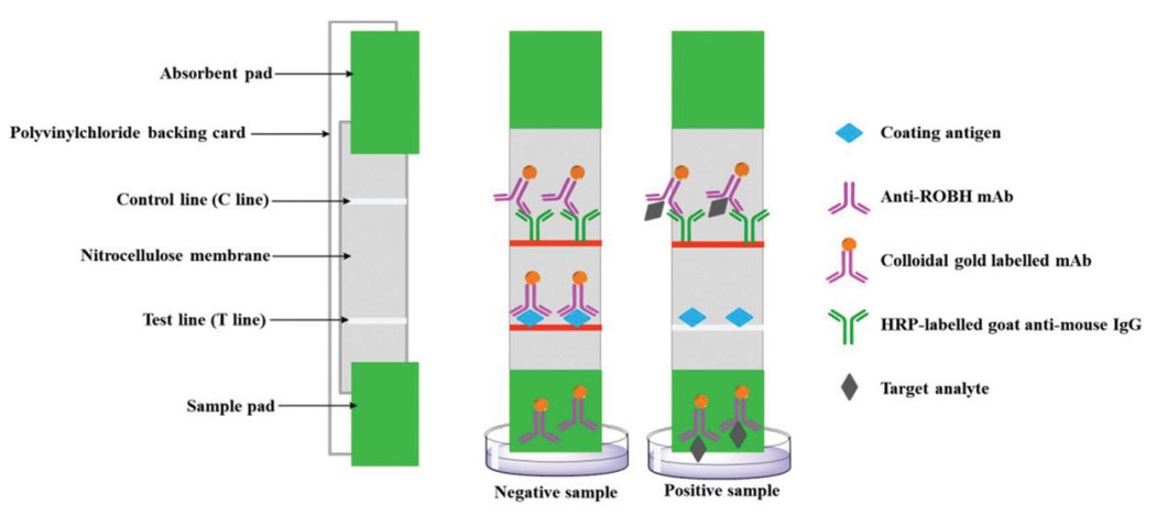 Robenidine Screen Test - Creative Diagnostics