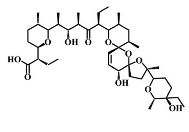 Salinomycin Antibodies & Antigens - Creative Diagnostics
