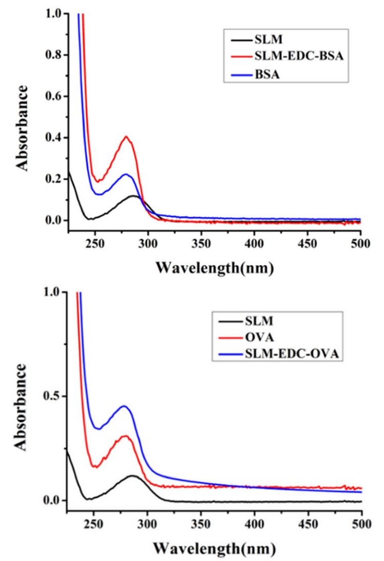 Salinomycin Antibodies & Antigens - Creative Diagnostics