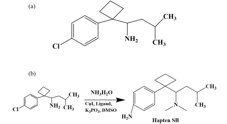 Sibutramine Antibodies & Antigens - Creative Diagnostics