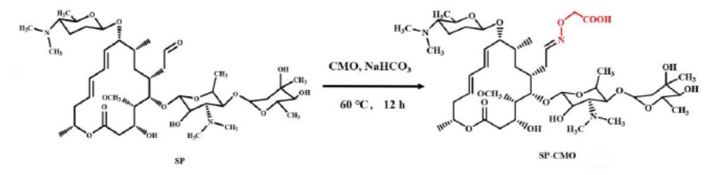 Spiramycin Antibodies & Antigens - Creative Diagnostics