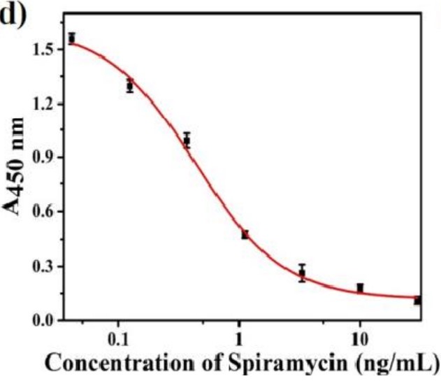 Spiramycin Antibodies & Antigens - Creative Diagnostics
