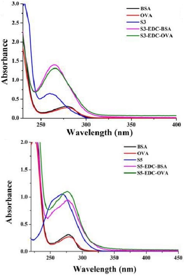 Sulfamethazine Antibodies & Antigens - Creative Diagnostics