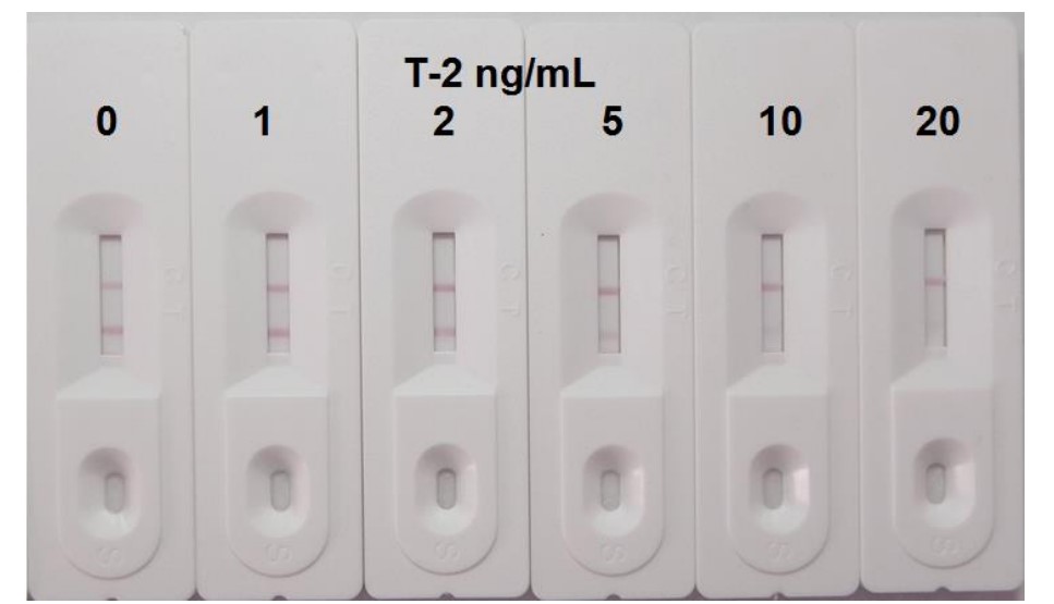 T-2 Toxin Screen Test - Creative Diagnostics