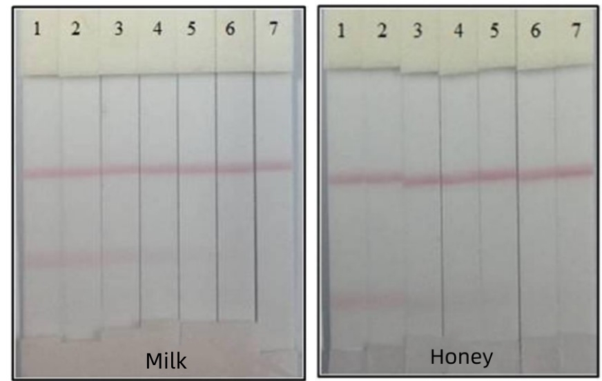 Tetracycline Antibodies & Antigens - Creative Diagnostics