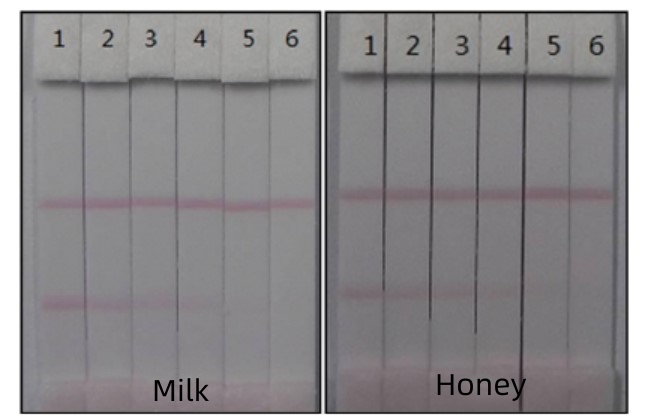 Trimethoprim Screen Test - Creative Diagnostics