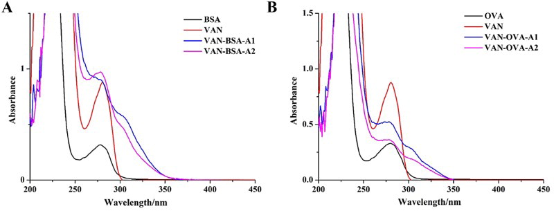 Vancomycin Antibodies & Antigens - Creative Diagnostics