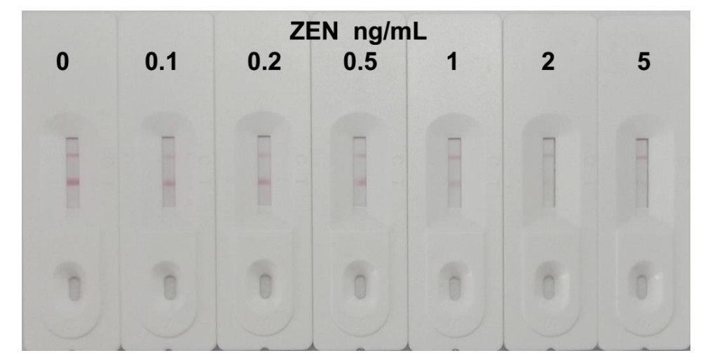 Zearalenone Screen Test - Creative Diagnostics