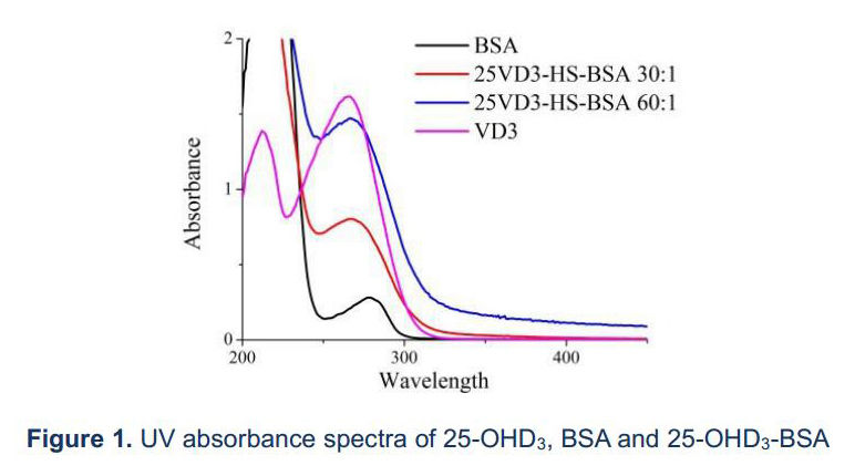 Custom Small Molecule Antigen Service - Creative Diagnostics