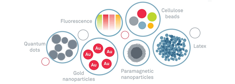 Lateral Flow Immunoassay - Creative Diagnostics