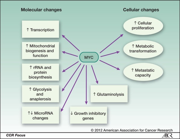 Immunology Resource Library - Creative Diagnostics