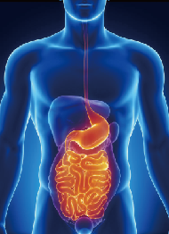 Gastrointestinal Disease ELISA Kits - Creative Diagnostics