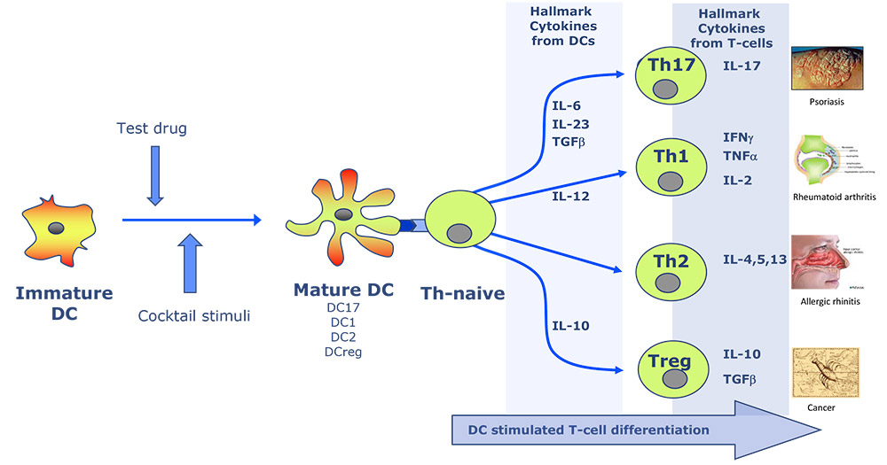 Immunology Resource Library - Creative Diagnostics