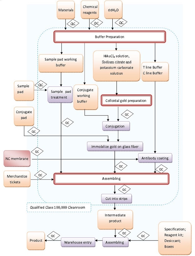 Strips Kits Development Workflow - Creative Diagnostics