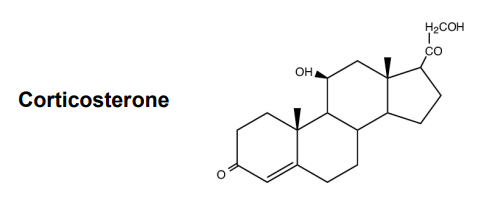 Corticosterone Antibodies and Antigens - Creative Diagnostics