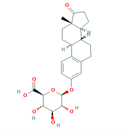 Estrone-3-Glucuronide (E1G) Antibodies and Antigens - Creative Diagnostics