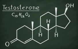 Testosterone Antibodies and Antigens - Creative Diagnostics