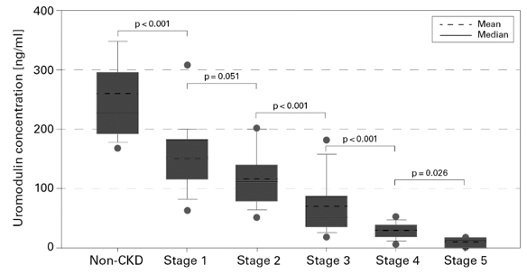 Uromodulin Antibodies and Antigens - Creative Diagnostics