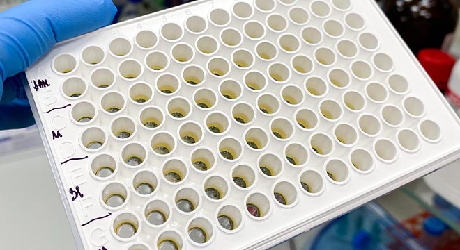 Test Service - Creative Diagnostics