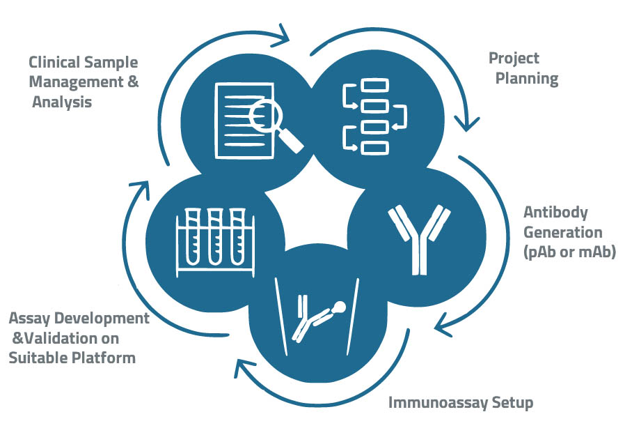 Immunoassay development and optimization Service - Creative Diagnostics