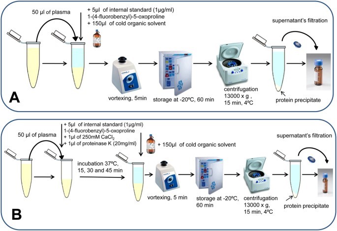 Plasma Sample Preparation for ELISA - Creative Diagnostics