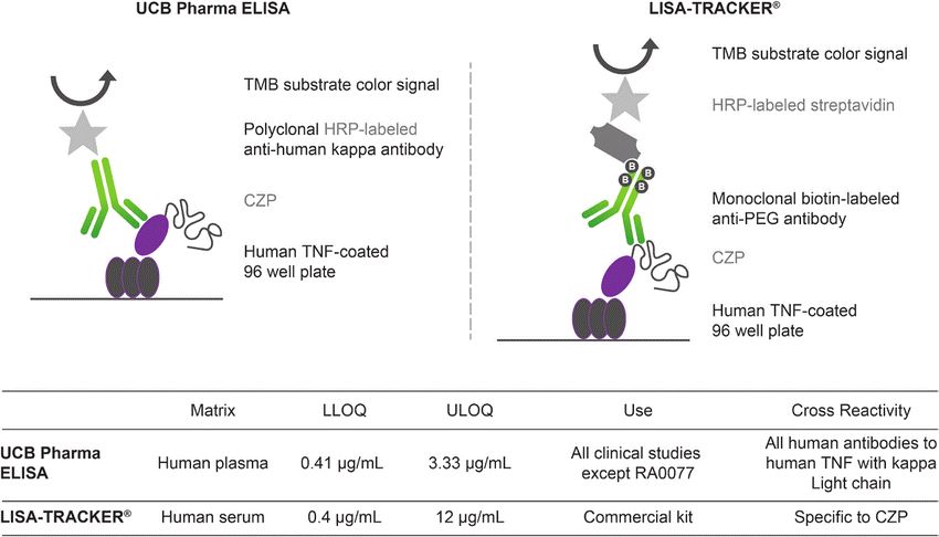 ELISA for Drug Detection - Creative Diagnostics