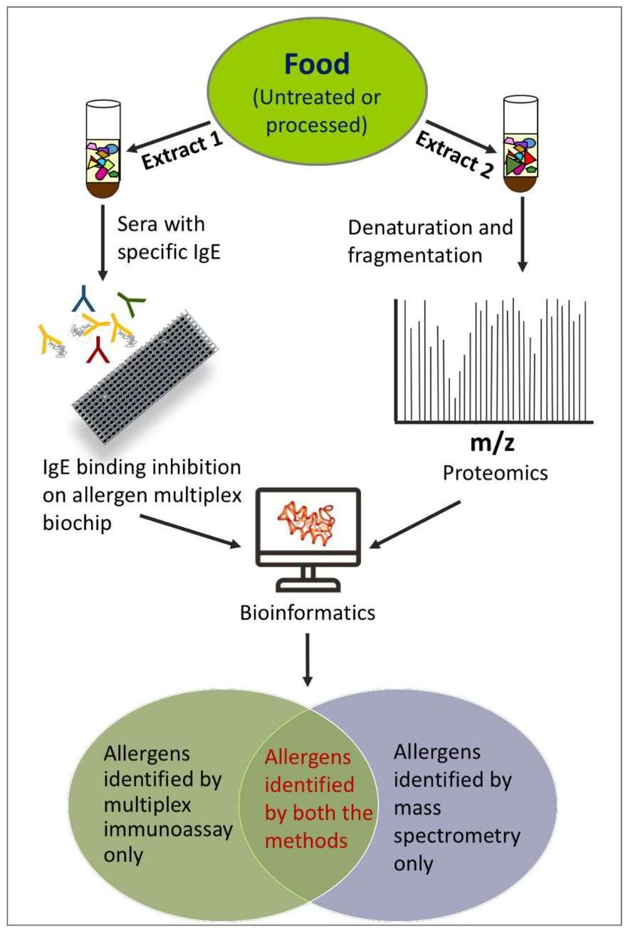 Allergen Immunoassays - Creative Diagnostics
